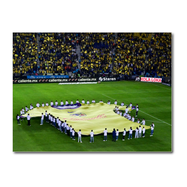 América – Página 2 – Tienda LIGA BBVA MX