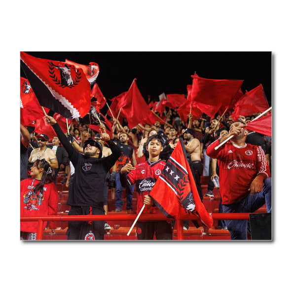 Tijuana Xolos – Tienda LIGA BBVA MX